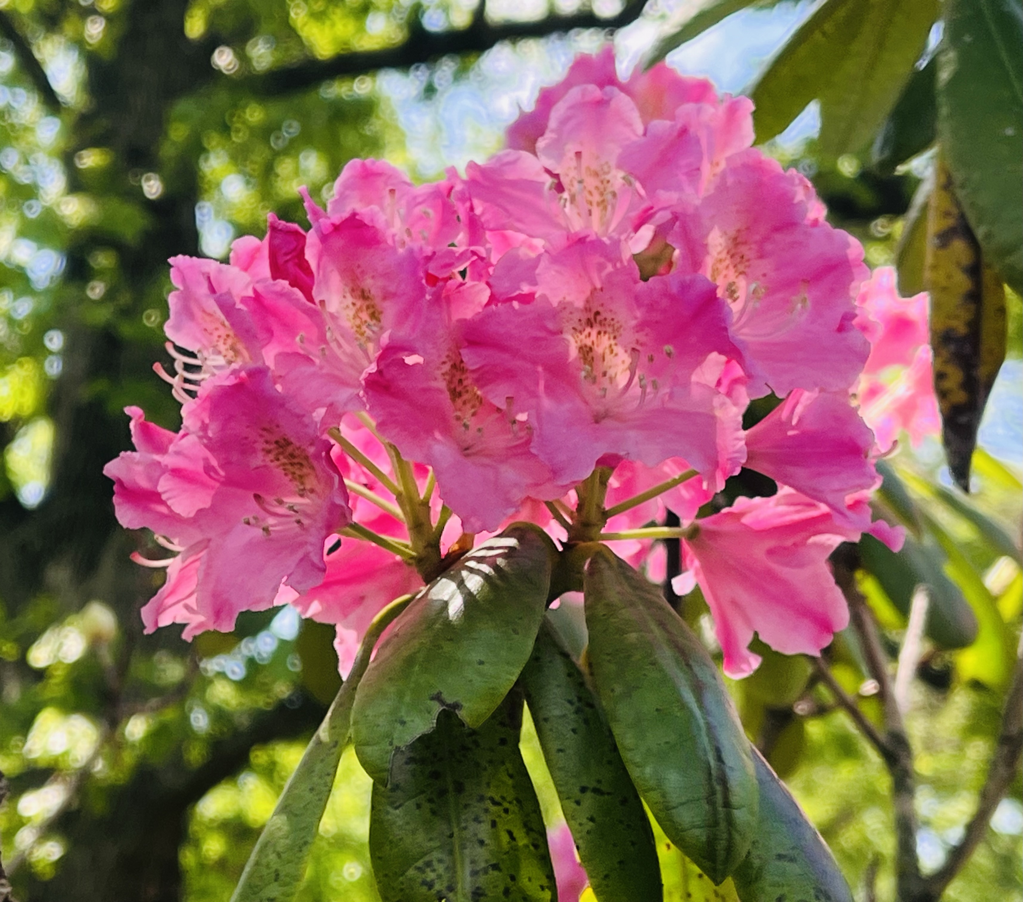 Stay Active – Unexpected Life